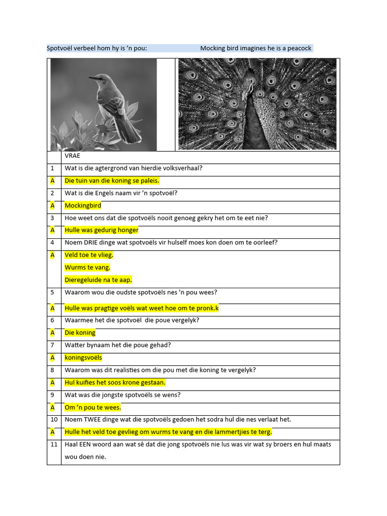 Spotvoël Verbeel Hom Hy Is | PDF