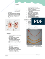 IFC CHECKLIST | PDF | Catheter