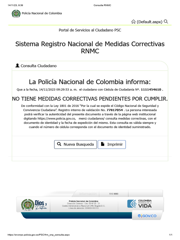 Consulta RNMC | PDF