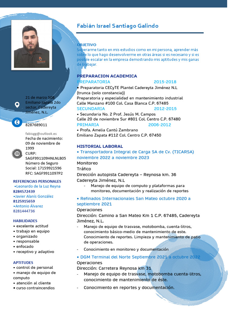 Formato Curriculum | PDF