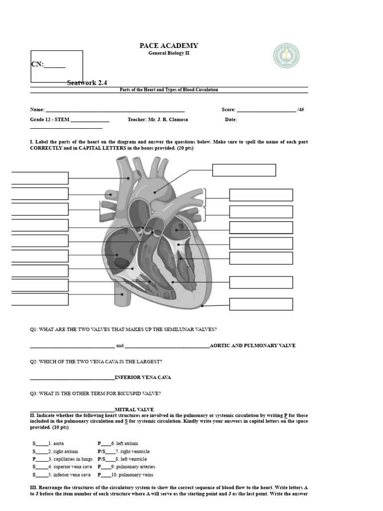 ANSWER KEY TO G12 Seatwork 24 | PDF | Heart Valve | Atrium (Heart)