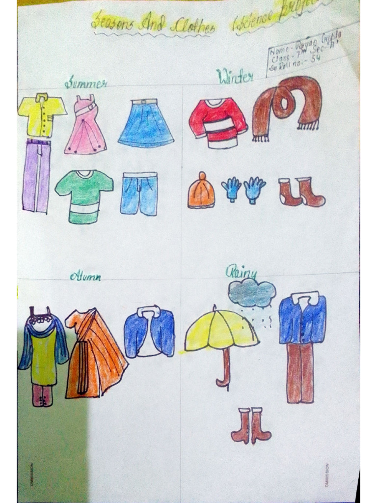 All Project Work Class 7 English, Science, Social Sciences | PDF