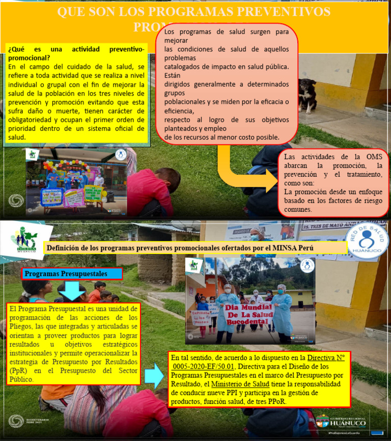 Definicion de Los Programas Preventivos Promocionales | PDF | Presupuesto