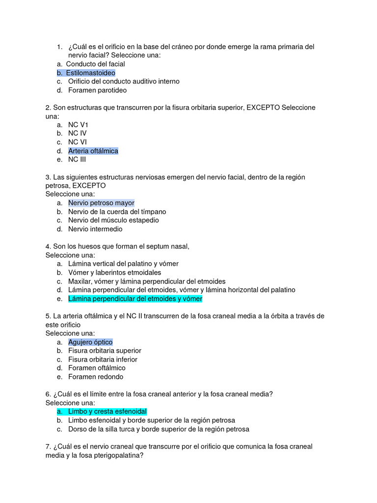 Anato 3 | PDF | Anatomía humana | Anatomía