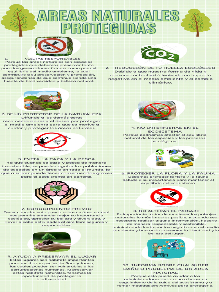 Infografía Informativa Decálogo de areas naturales | PDF | Entorno ...
