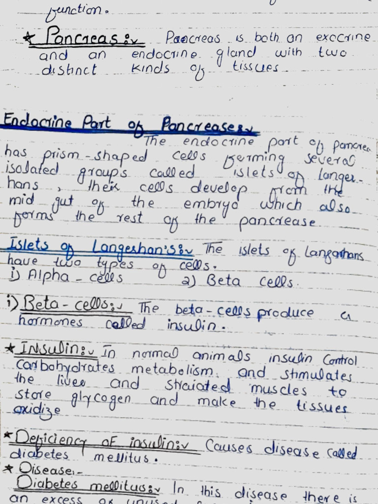 Pancrease and Gonadial Endocrine Glands | PDF