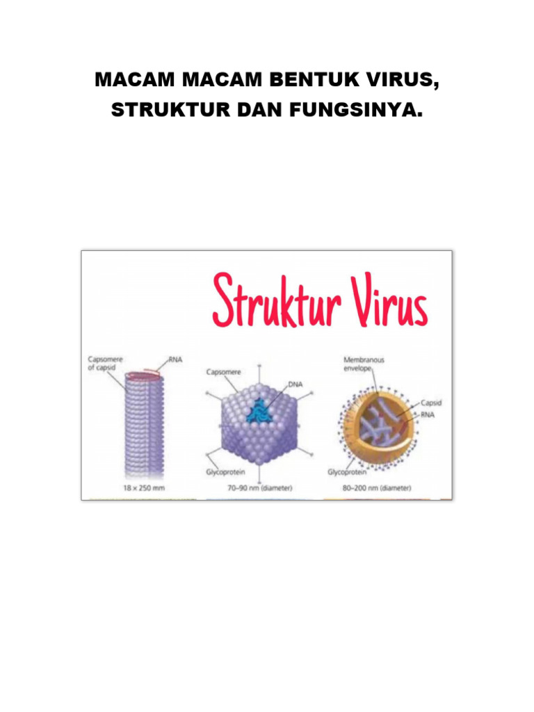 Macam Macam Bentuk Virus | PDF