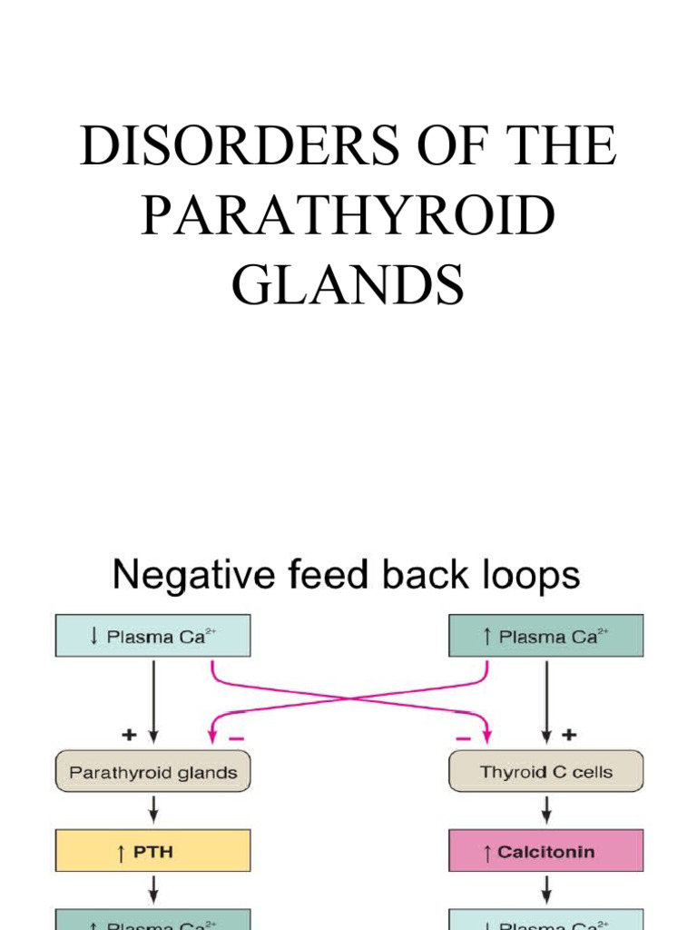Disorders of The Parathyroid Glands | PDF | Parathyroid Gland | Medical Specialties