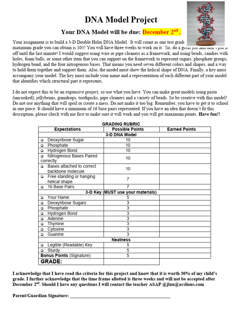 DNA Model | PDF | Biotechnology | Molecular Biology