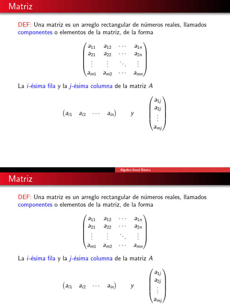 Definición y Propiedades de Matrices | PDF | Matriz (Matemáticas ...