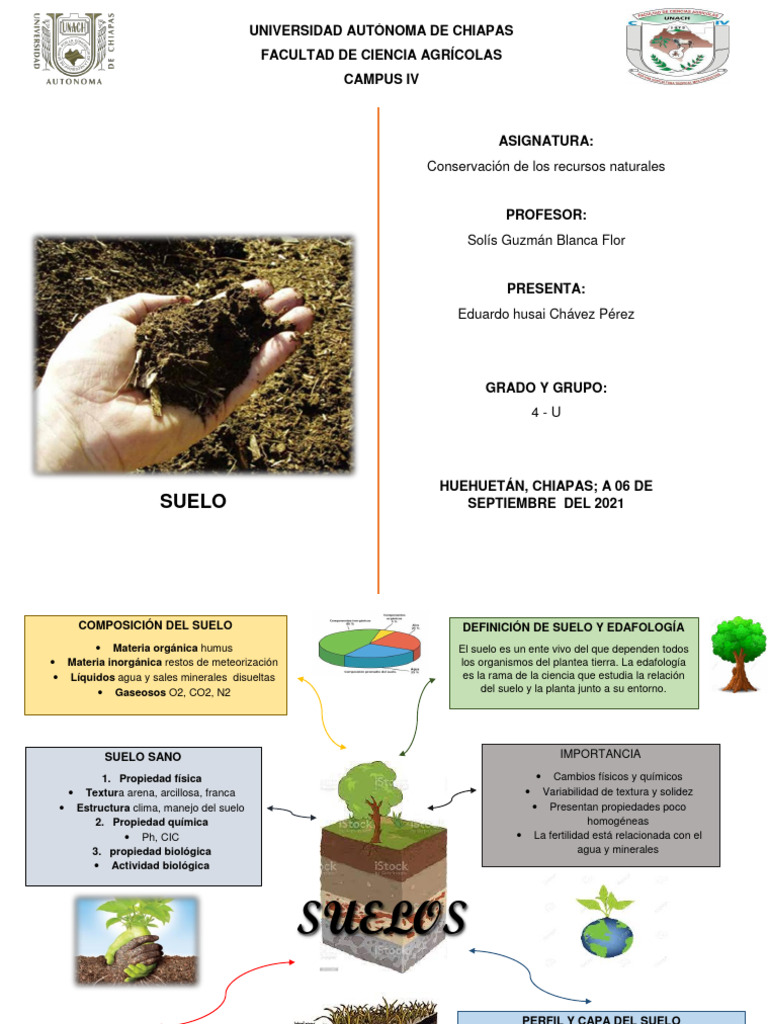 Definición y Composición del Suelo | PDF | Suelo | Ciencias de la Tierra