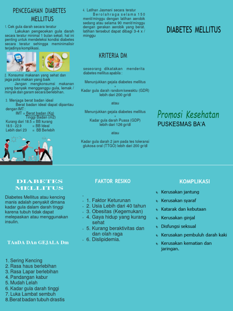 LIFLET Diabetes Mellitus | PDF