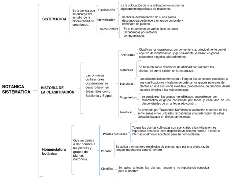 Cuadro Sinoptico de Botanica | PDF | Taxonomía (biología) | Plantas