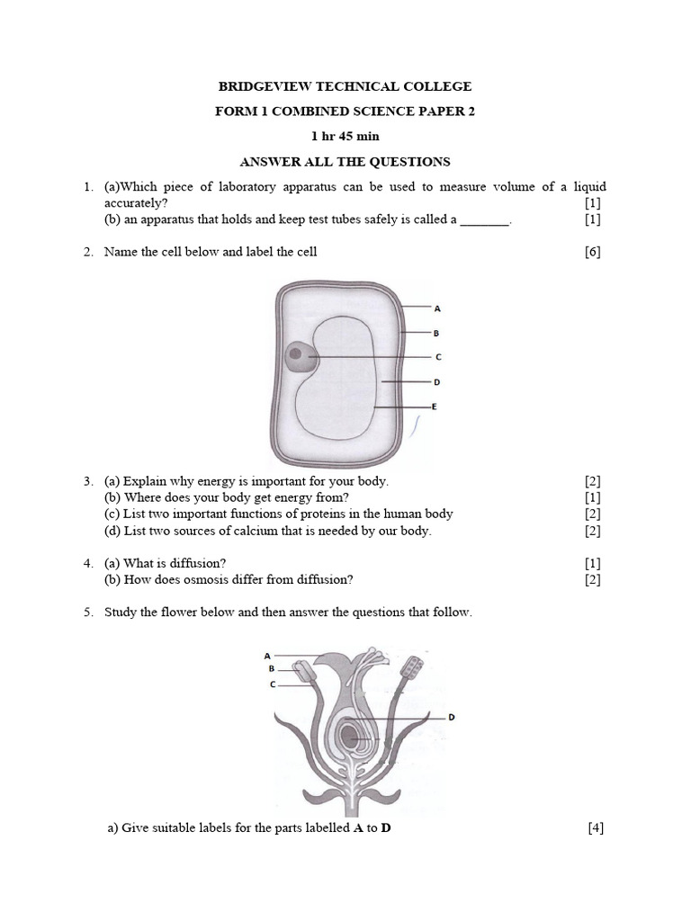 Science Form 1 Paper 2 Final | PDF | Oil | Rust
