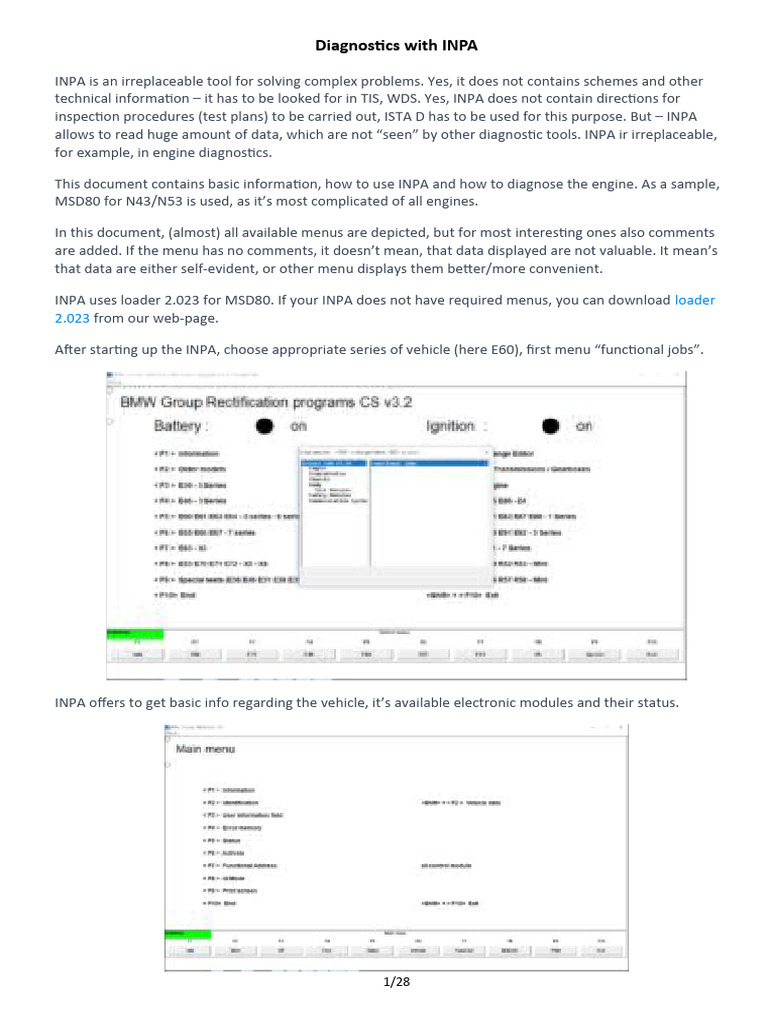 Diagnostics With INPA | PDF | Menu (Computing) | Throttle