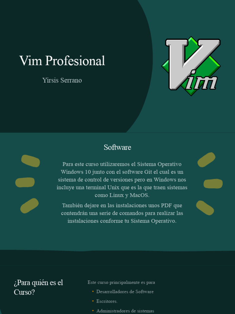 Vim Profesional | PDF | Tecnologías de la información | Ciencias de la Computación
