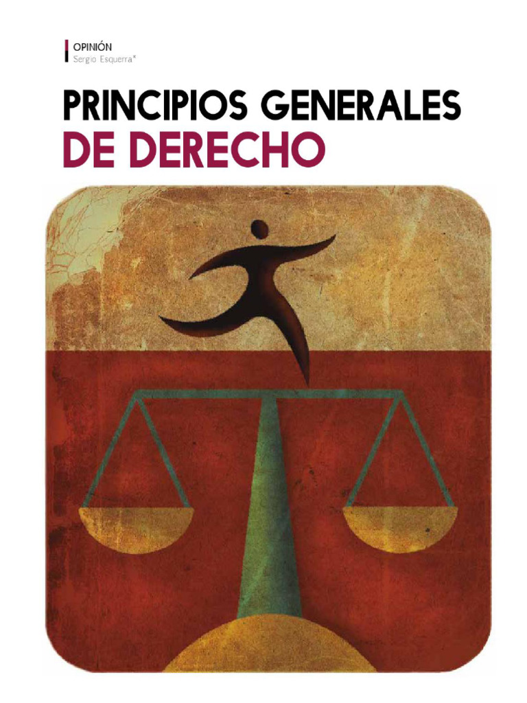 Principios Generales Del Derecho Pdf