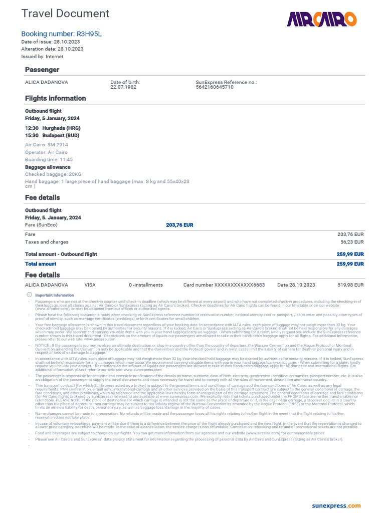 Travel Document Pdf Baggage Transport