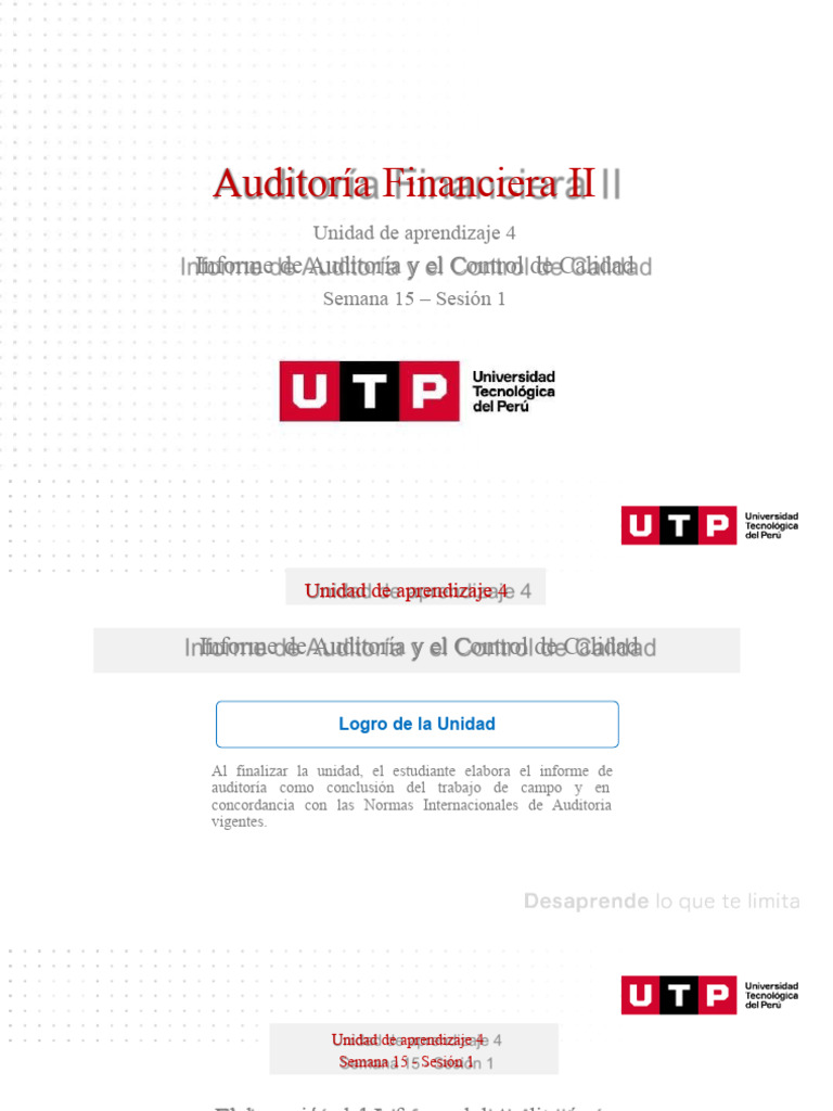S15.s1 - Material - Informe Del Auditor | PDF | Auditoría | Contralor