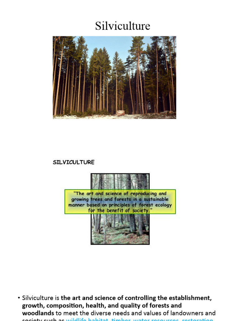 Silviculture | PDF