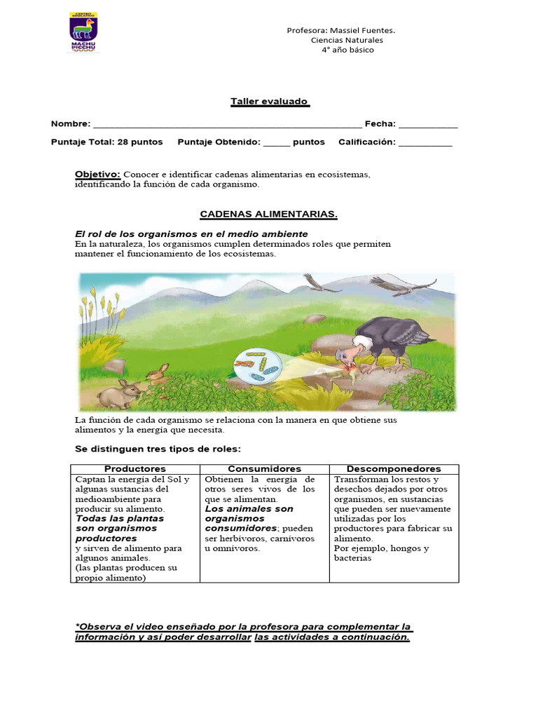 Taller Evaluado Ciencias | PDF | Alimentos | Organismos Taller Evaluado Ciencias | PDF | Alimentos | Organismos