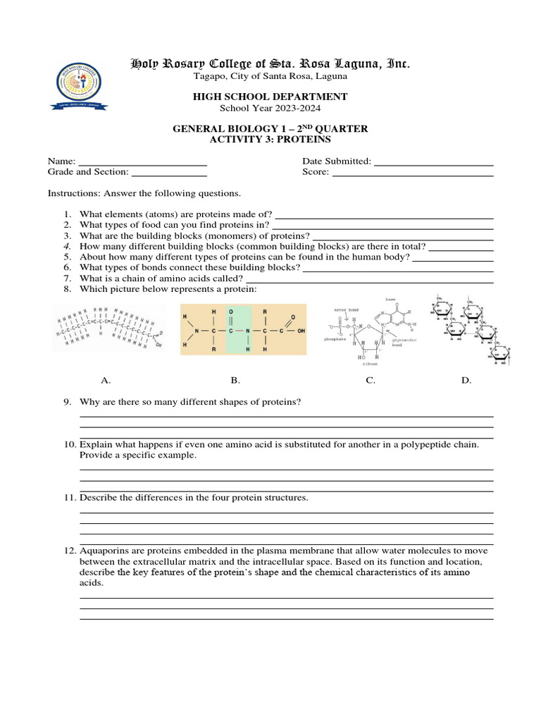 (WORKSHEET) General Biology 1 2nd Quarter Activity 3 - Proteins | PDF