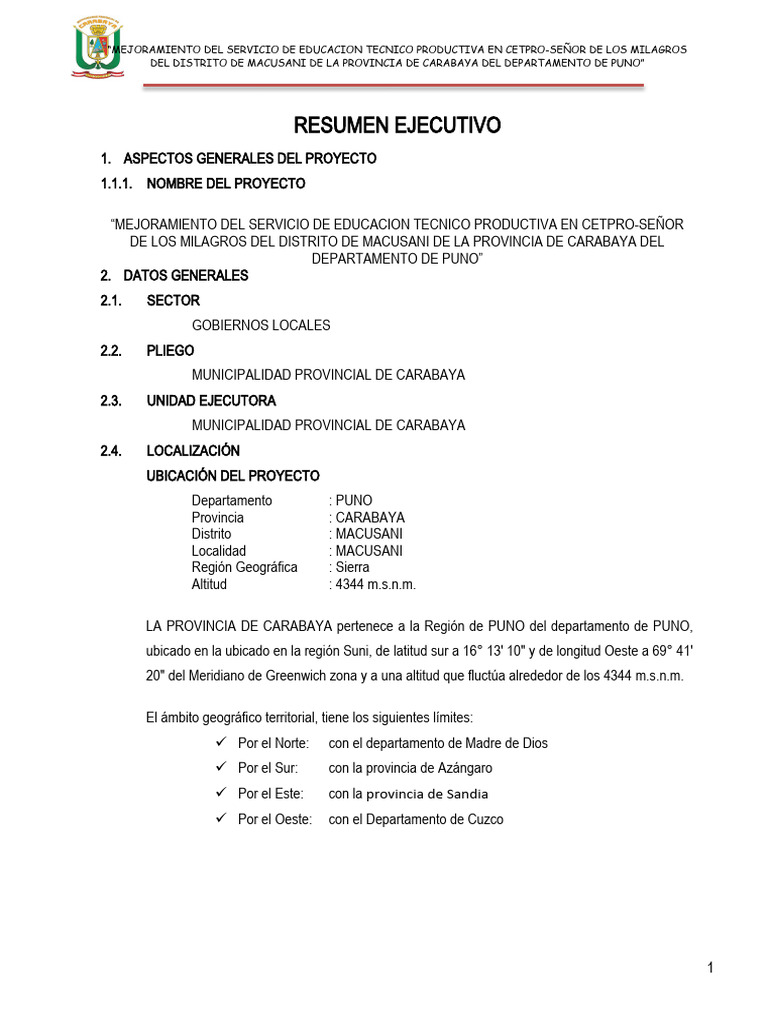 Resumen Ejecutivo - Cetpro | PDF