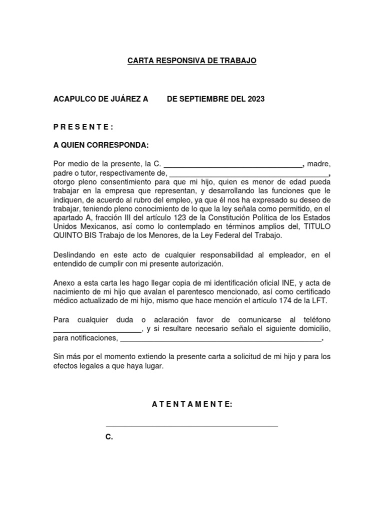 Carta Responsiva de Trabajo | PDF