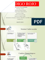 Protocolo Código Rojo en Hemorragia Obstétrica | PDF | Choque ...