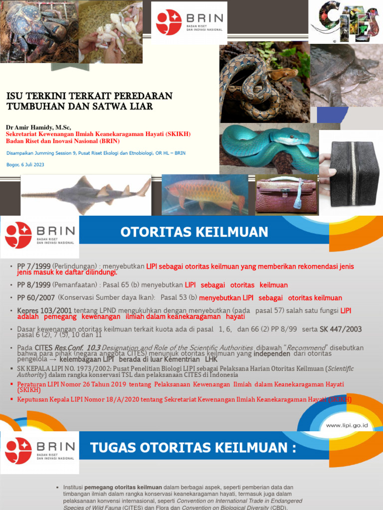 ISU TERKINI TSL PREE - Amir Hamidy - SKIKH-BRIN | PDF