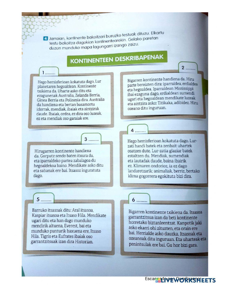 Zein Da Zein | PDF