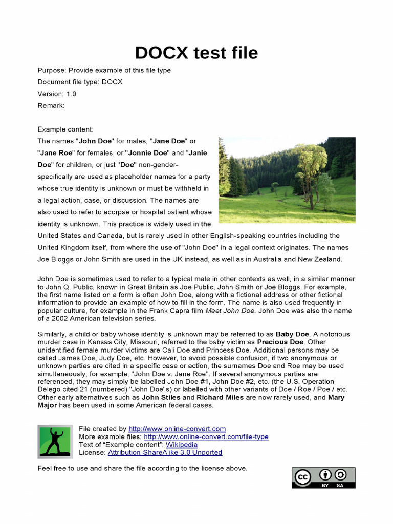 Example | PDF | John Doe