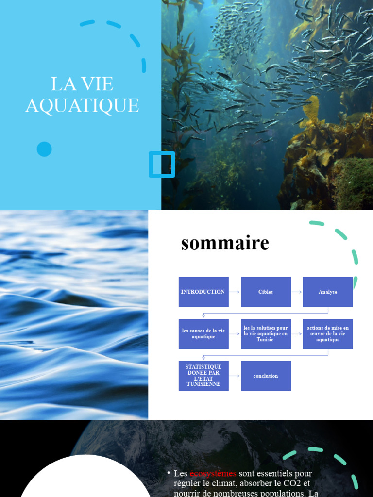 La Vie Aquatique | PDF | Environnement naturel | Développement durable