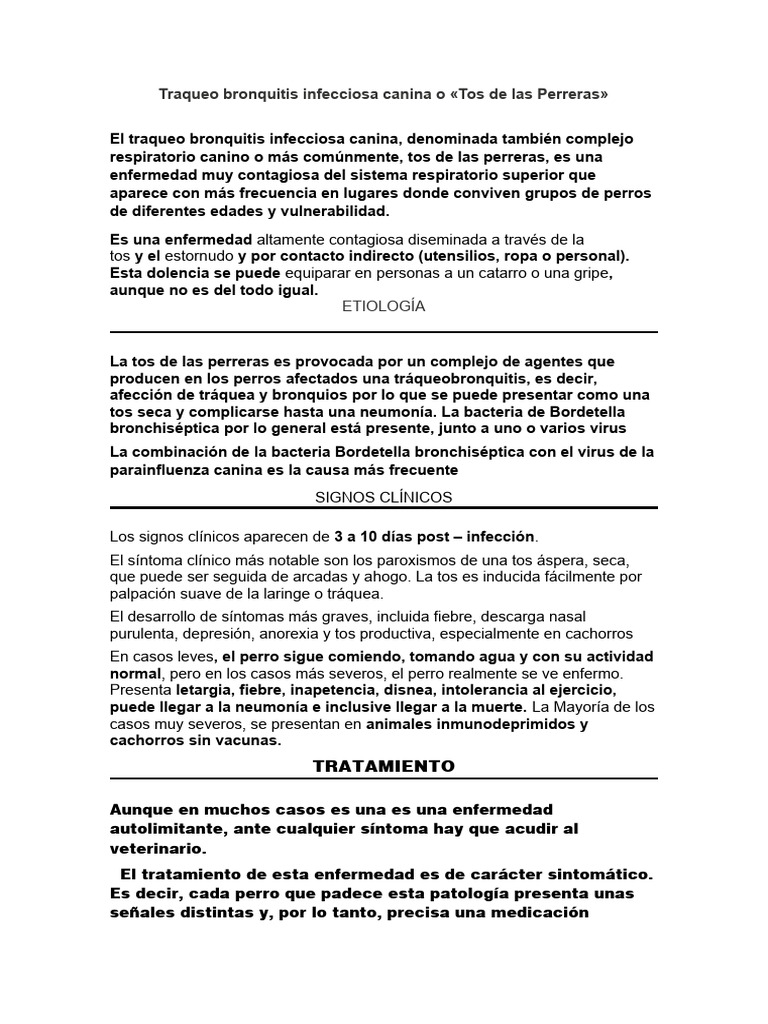 Traqueo Bronquitis Infecciosa Canina | PDF | Tos | Infección