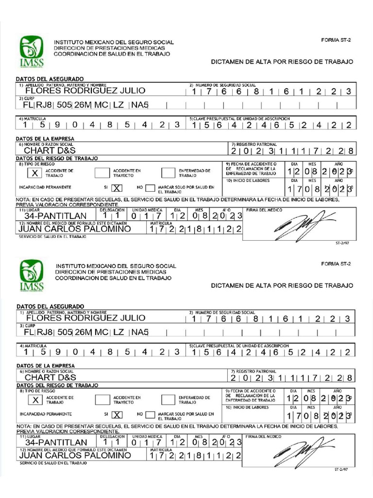 Formato ST 2 Lleno | PDF