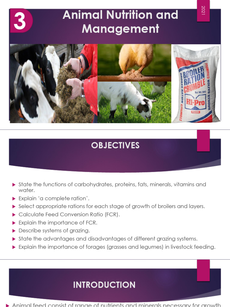 3.0 Animal Nutrition and Management | PDF | Nutrition | Diet & Nutrition