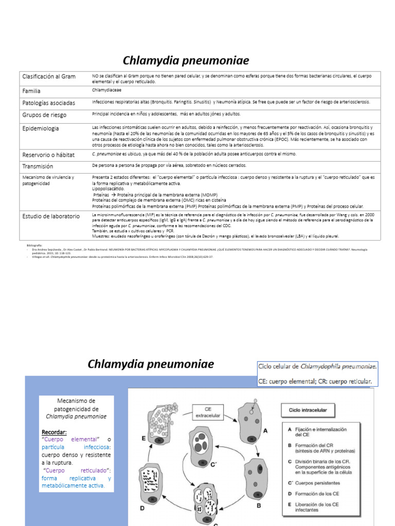 Chlamydia pneumoniae | PDF | Epidemiología | Inmunología