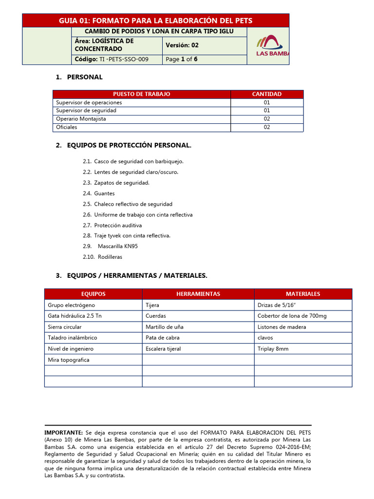 Formato - Elaboración Del Pets | PDF | Minería | Lavado de manos