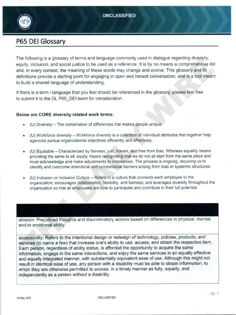 DEI Vocabulary and Definitions Guide | PDF | Gender | Gender Studies