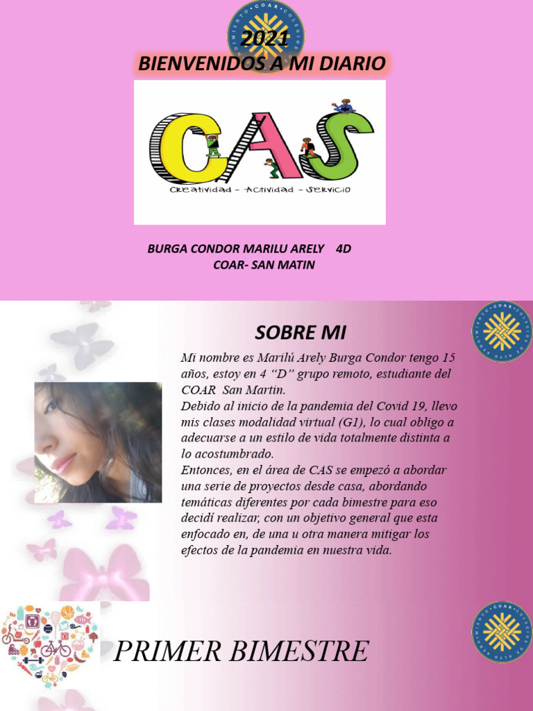 Diario de Proyectos CAS en Pandemia | PDF | Aprendizaje | Experiencia