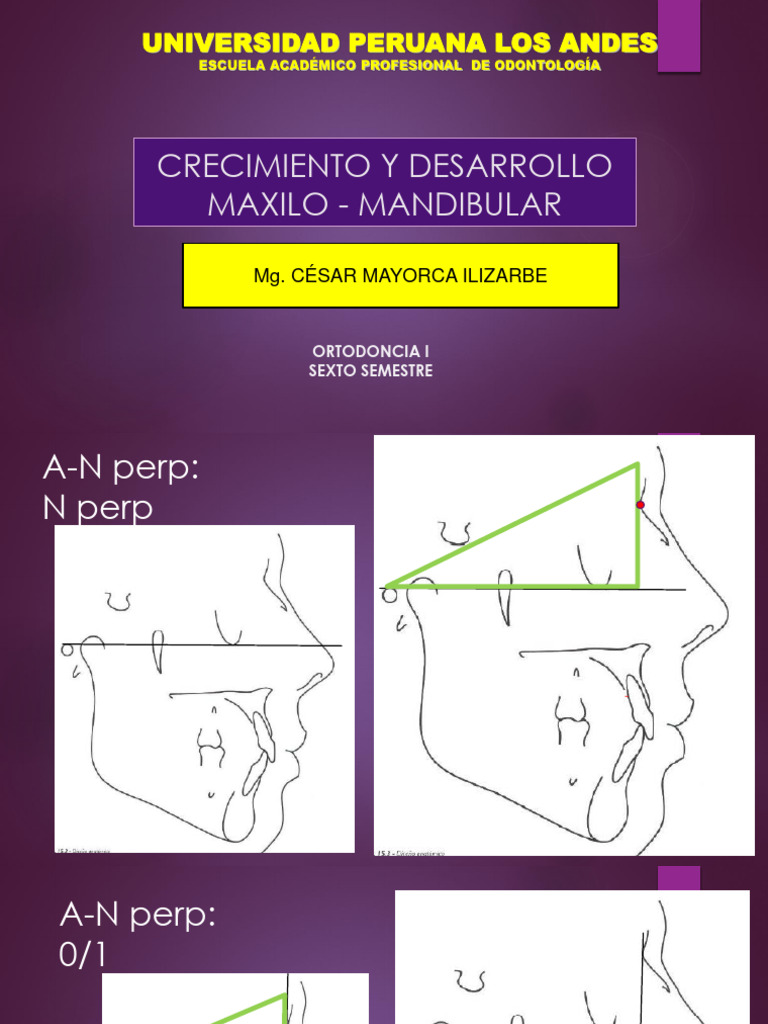 crecimiento y desarrollo MAXILAR-MANDIBULAR | PDF | Cabeza y cuello ...