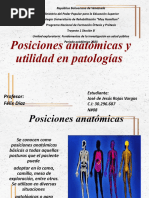 Posición de Sims | PDF | Ct Scan | Electromiografia