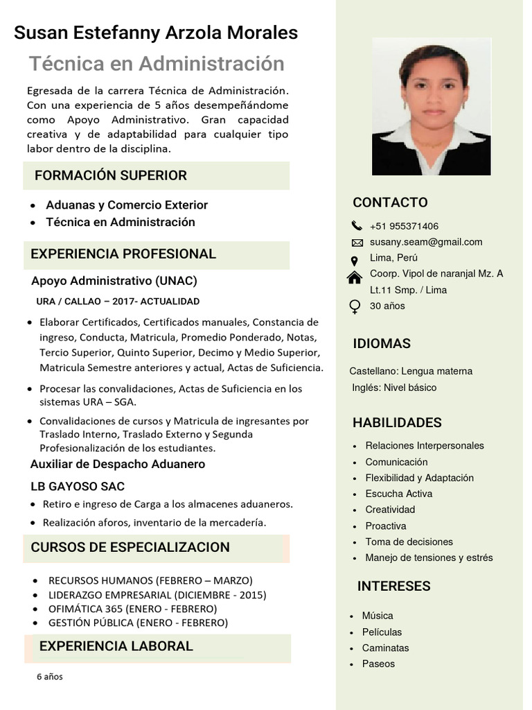 Cv. Documentado | PDF | Business