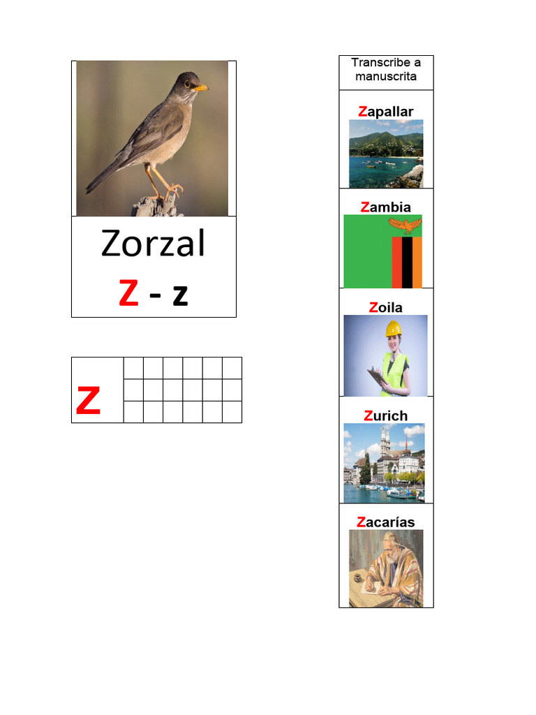 Lecciones Método Matte | PDF