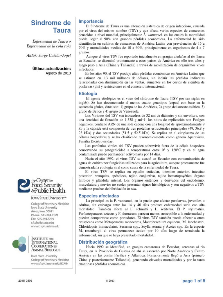 Taura Syndrome Es | PDF | Virus | Hibridación in situ