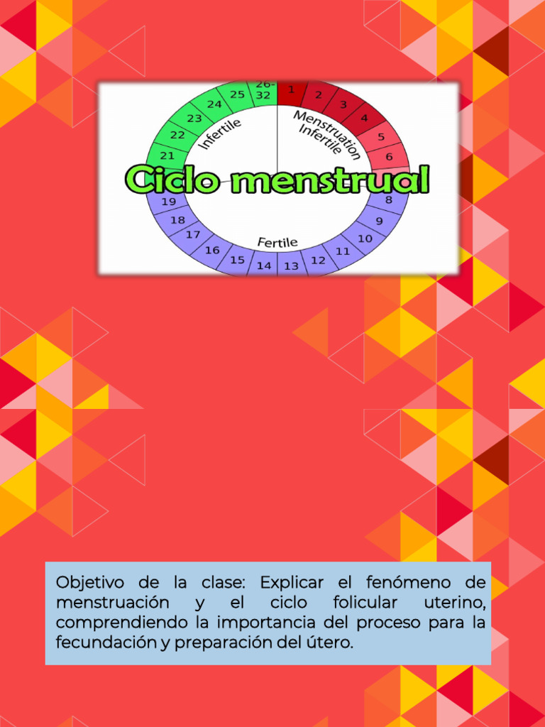 Ciclo Menstrual | PDF | Ciclo menstrual | Hormona luteinizante