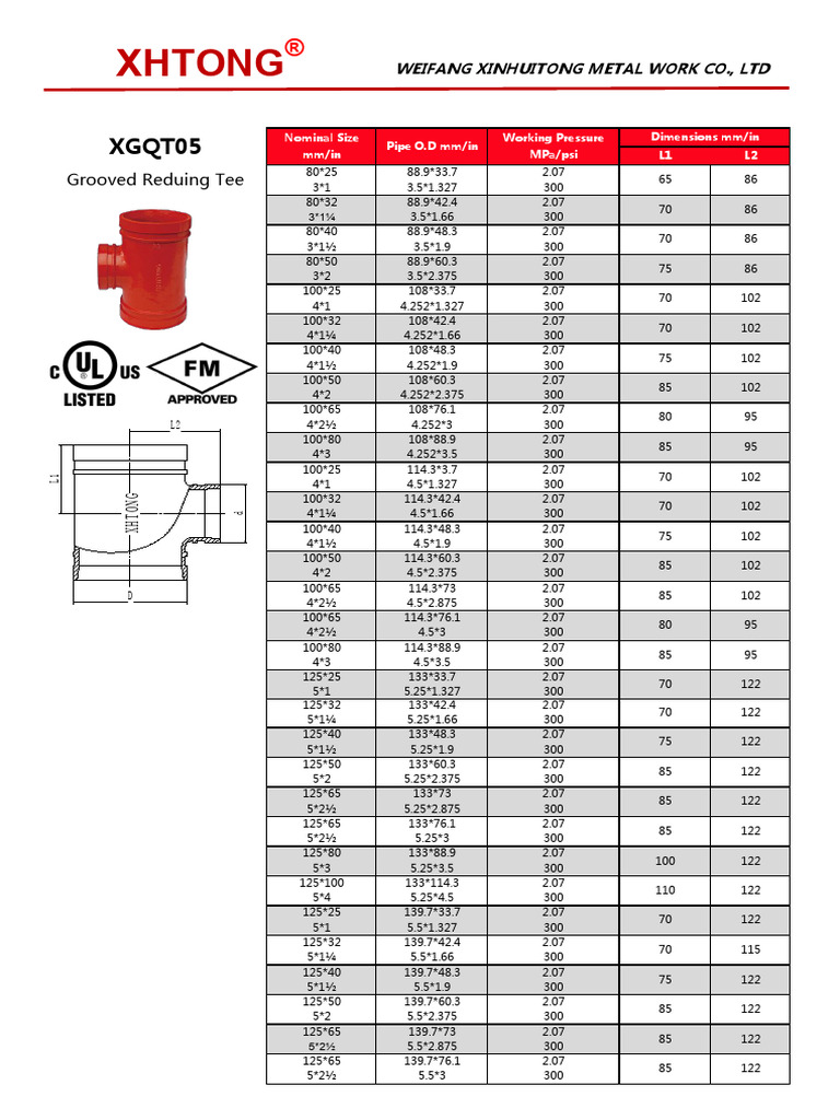 Ficha Tecnica TEE Reductora XGQT05 | PDF