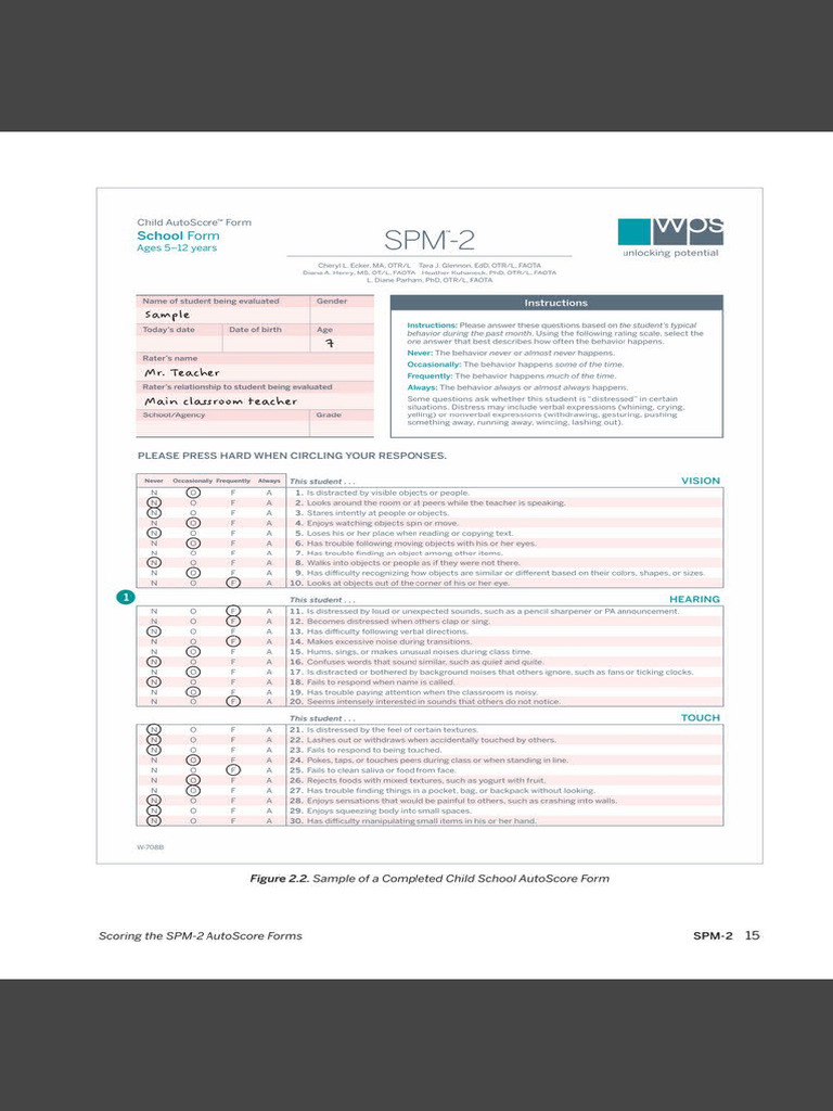 SPM-2 Online Manual 2 | PDF