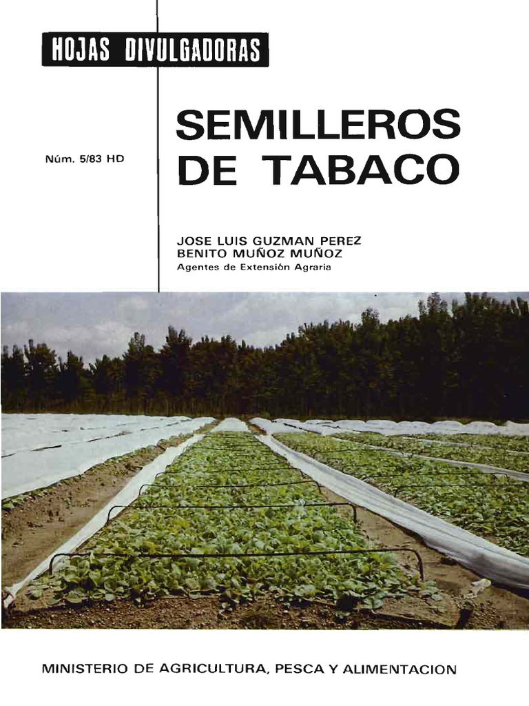 Cultivo Tabaco | PDF | Siembra | Riego