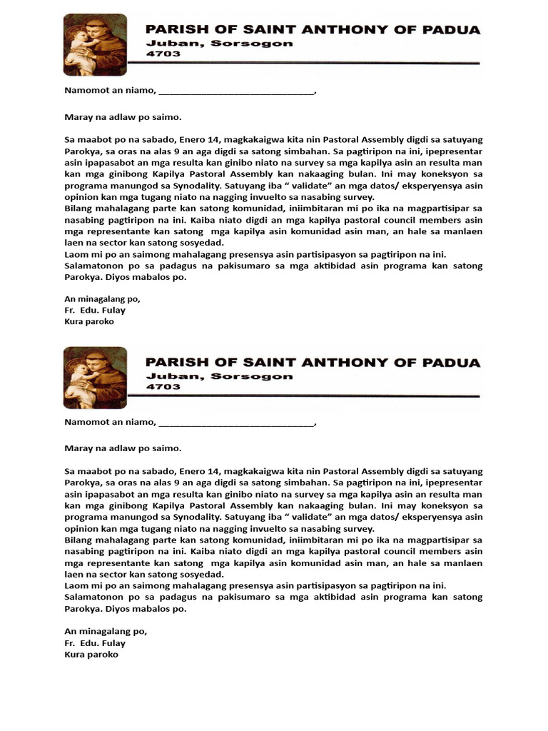 Synodality Letter | PDF